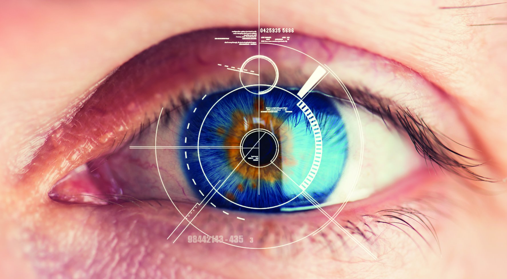 The Standards Driving Biometric Adoption in Physical Security ...