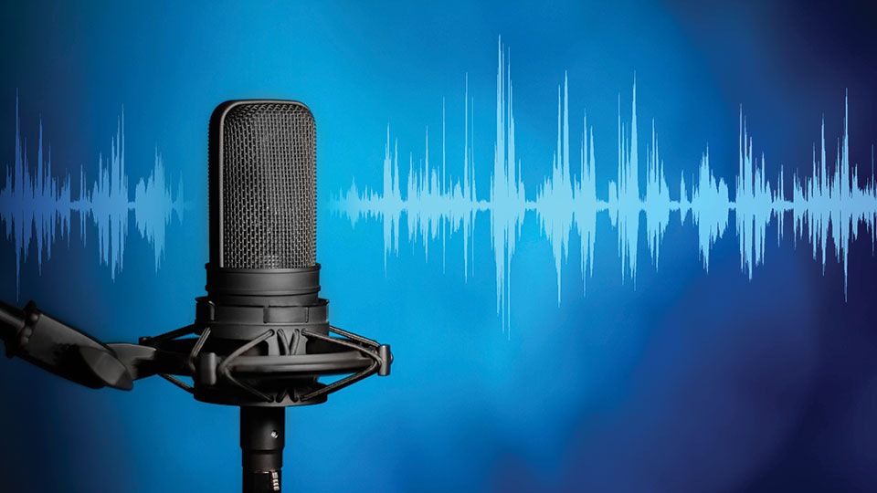 Using Audio for Alarm Verification: Hearing Plus Seeing Increases ...