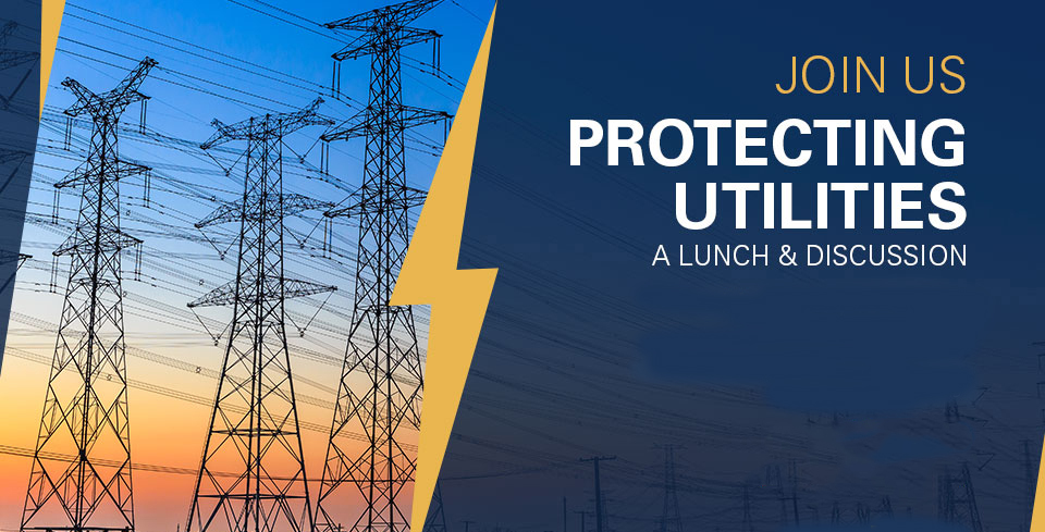 Protecting Utilities: A Lunch and Discussion